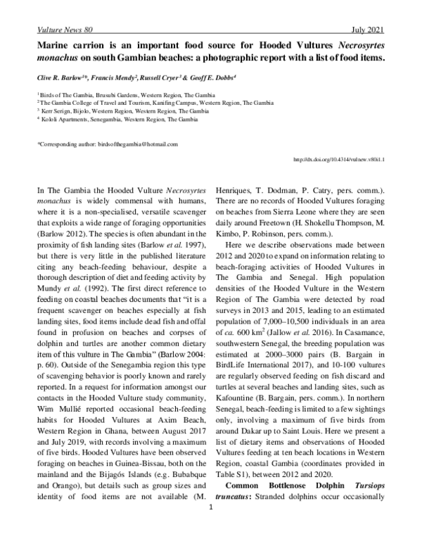 (PDF) Marine carrion is an important food source for Hooded Vultures ...