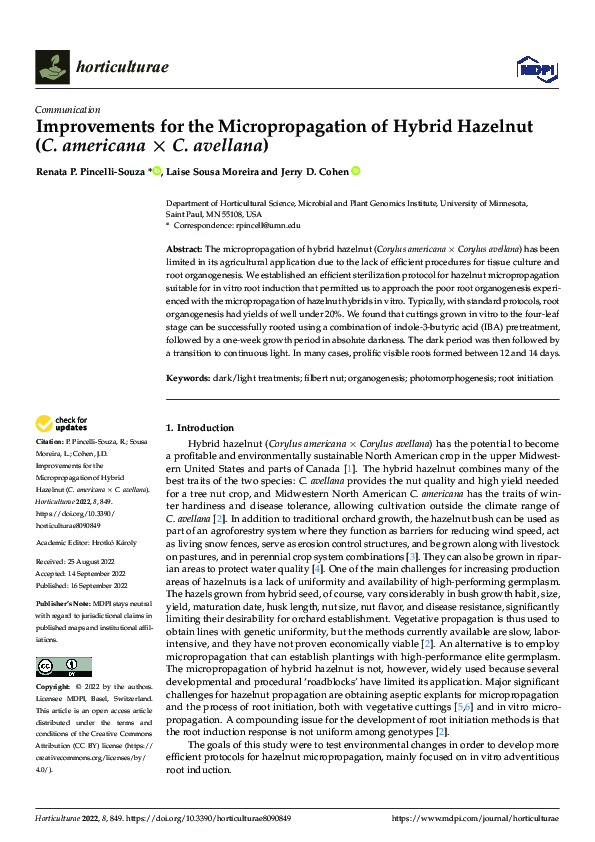 (PDF) Improvements for the Micropropagation of Hybrid Hazelnut (C ...