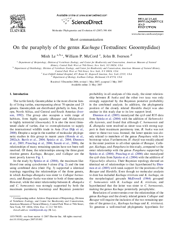 (PDF) On the paraphyly of the genus Kachuga (Testudines: Geoemydidae)