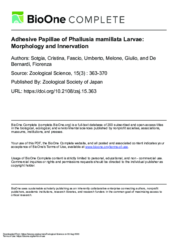 (PDF) Adhesive Papillae of Phallusia mamillata Larvae: Morphology and ...