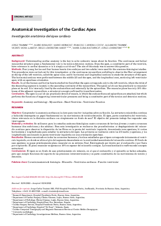 (PDF) Anatomical Investigation of the Cardiac Apex