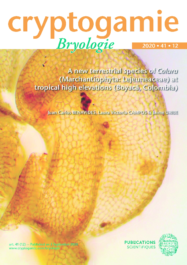 (PDF) A New Terrestrial Species of Colura (Marchantiophyta ...
