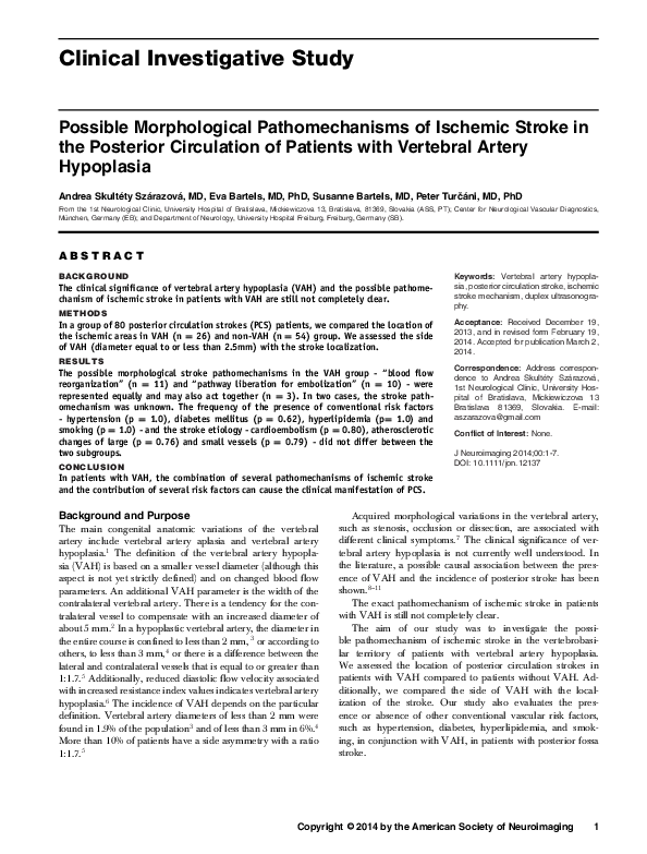 (PDF) Possible Morphological Pathomechanisms of Ischemic Stroke in the ...