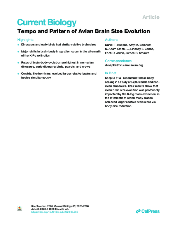 (PDF) Tempo and Pattern of Avian Brain Size Evolution