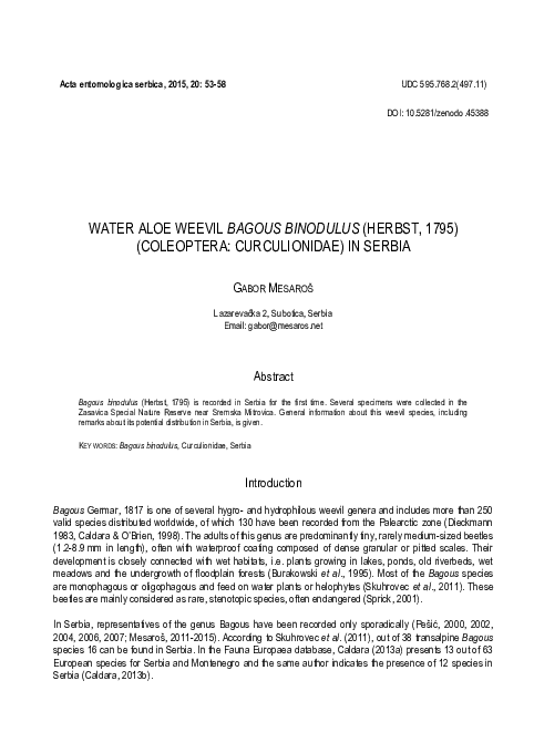 (PDF) Water aloe weevil - Bagous binodulus (Herbst, 1795) (Coleoptera ...