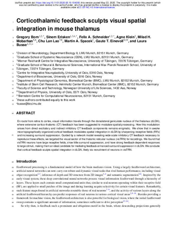 (PDF) Corticothalamic feedback sculpts visual spatial integration in mouse thalamus