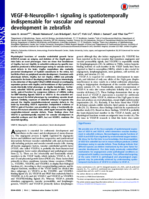 (PDF) VEGF-B-Neuropilin-1 signaling is spatiotemporally indispensable ...