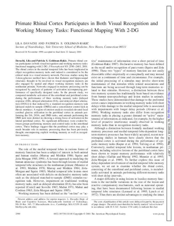 Pdf Primate Rhinal Cortex Participates In Both Visual Recognition And Working Memory Tasks