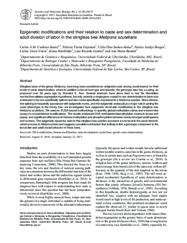 (PDF) Epigenetic modifications and their relation to caste and sex ...