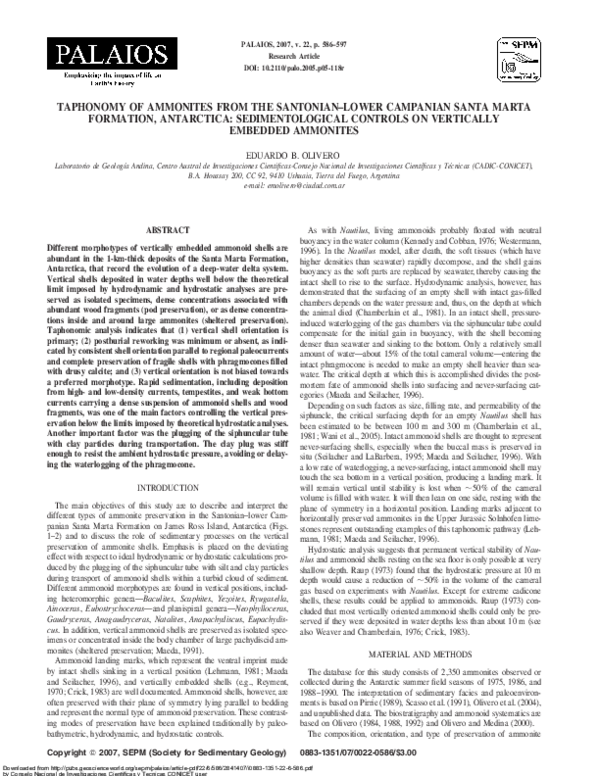 (PDF) Taphonomy of Ammonites from the Santonian Lower Campanian Santa ...