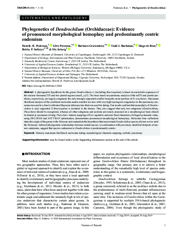 (PDF) Phylogenetics of Dendrochilum (Orchidaceae): Evidence of pronounced morphological ...