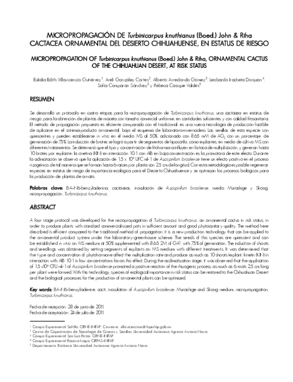 (PDF) MICROPROPAGACIÓN DE Turbinicarpus knuthianus (Boed.) John & Riha ...