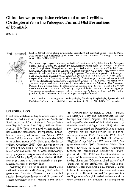 (PDF) Oldest known pteroplistine cricket and other Gryllidae ...