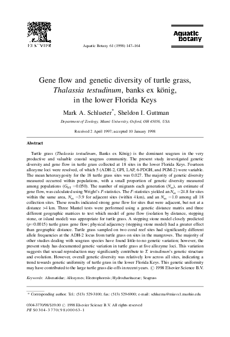 (PDF) Gene flow and genetic diversity of turtle grass, Thalassia ...