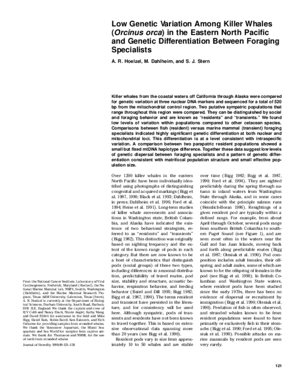 (PDF) Low genetic variation among killer whales (Orcinus orca) in the ...