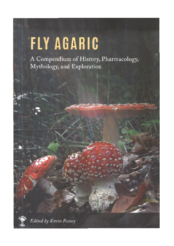 (PDF) Mushroom effigies in archaeology: a methodological approach