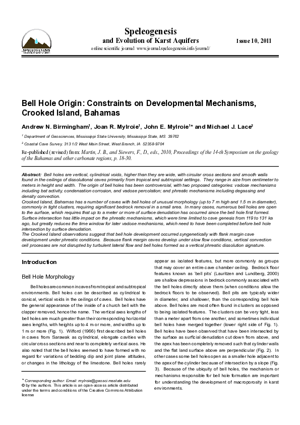 (PDF) Bell hole origin: constraints on developmental mechanisms ...