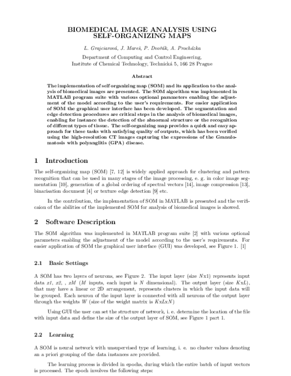 Pdf Biomedical Image Analysis Using Self Organizing Maps Ales