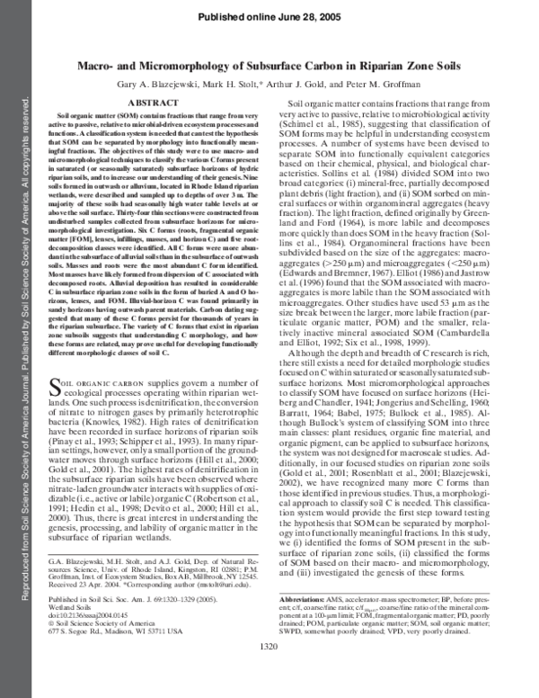 (PDF) Macro‐ and Micromorphology of Subsurface Carbon in Riparian Zone ...