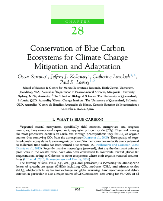 (PDF) Coastal Wetlands: Conservation of Blue Carbon Ecosystems for ...