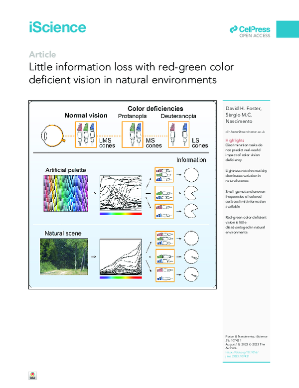 (PDF) Little information loss with red-green color deficient vision in ...