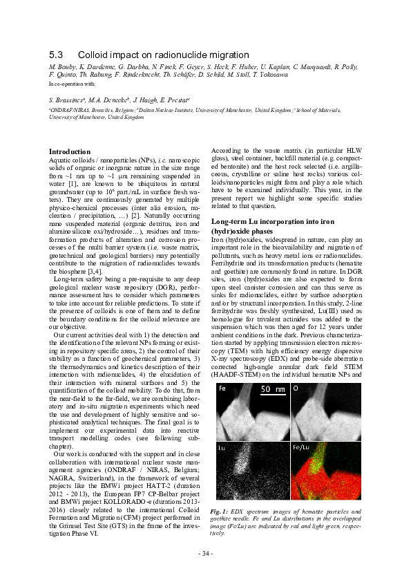 (PDF) Colloid impact on radionuclide migration