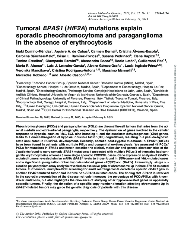 (PDF) Tumoral EPAS1 (HIF2A) mutations explain sporadic pheochromocytoma ...
