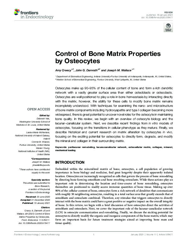 (PDF) Control of Bone Matrix Properties by Osteocytes