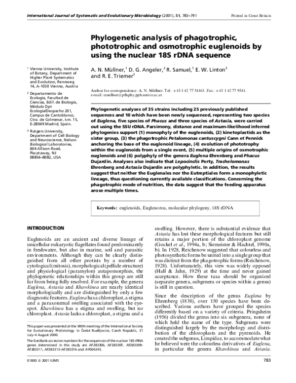 (PDF) Phylogenetic analysis of phagotrophic, photomorphic and ...