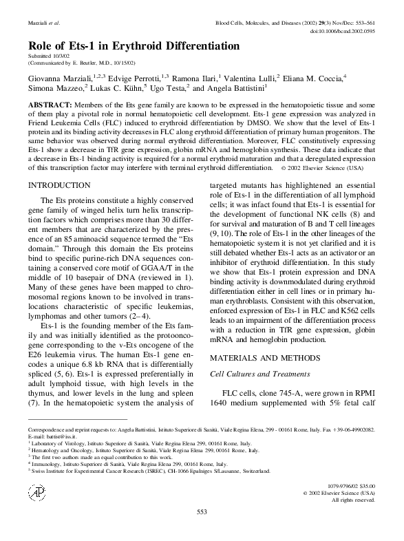 (PDF) Role of Ets-1 in Erythroid Differentiation
