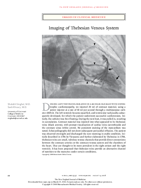 (PDF) Imaging of Thebesian Venous System