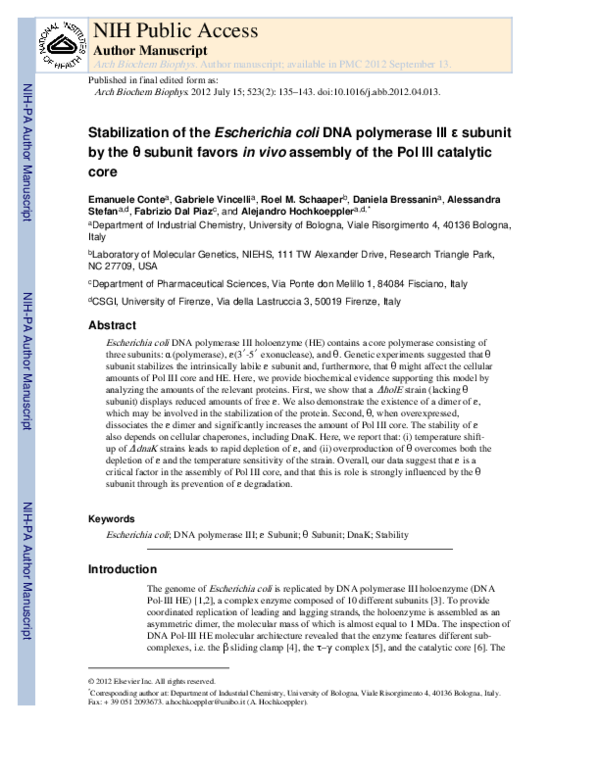 (PDF) Stabilization of the Escherichia coli DNA polymerase III ε ...