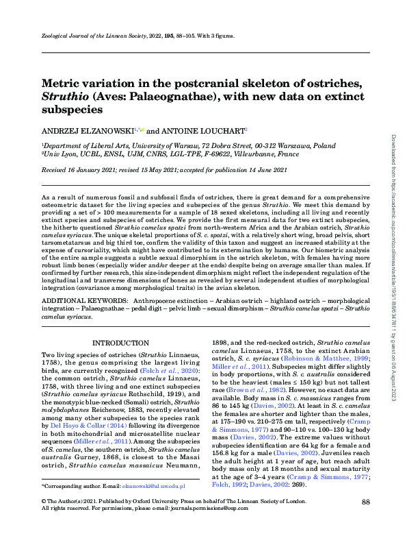 (PDF) Metric variation in the postcranial skeleton of ostriches ...