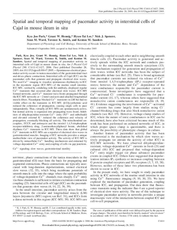 (PDF) Spatial and temporal mapping of pacemaker activity in ...