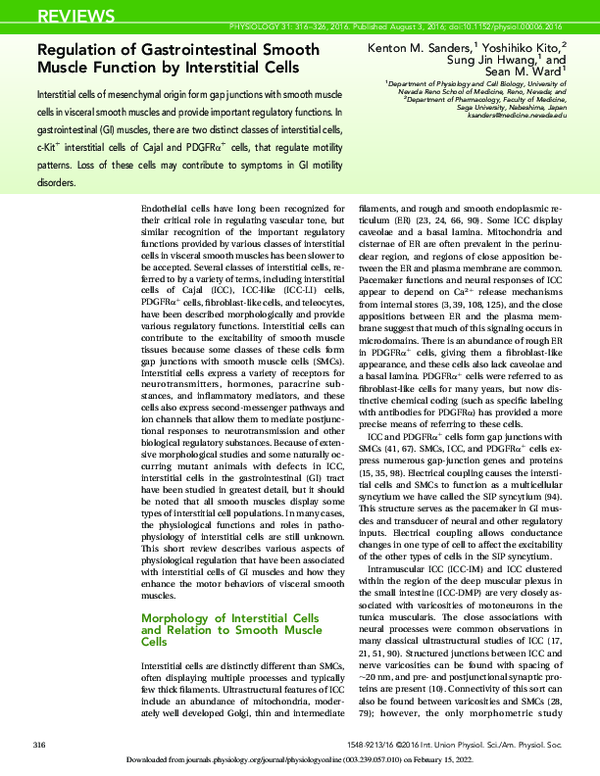 (PDF) Regulation of Gastrointestinal Smooth Muscle Function by ...