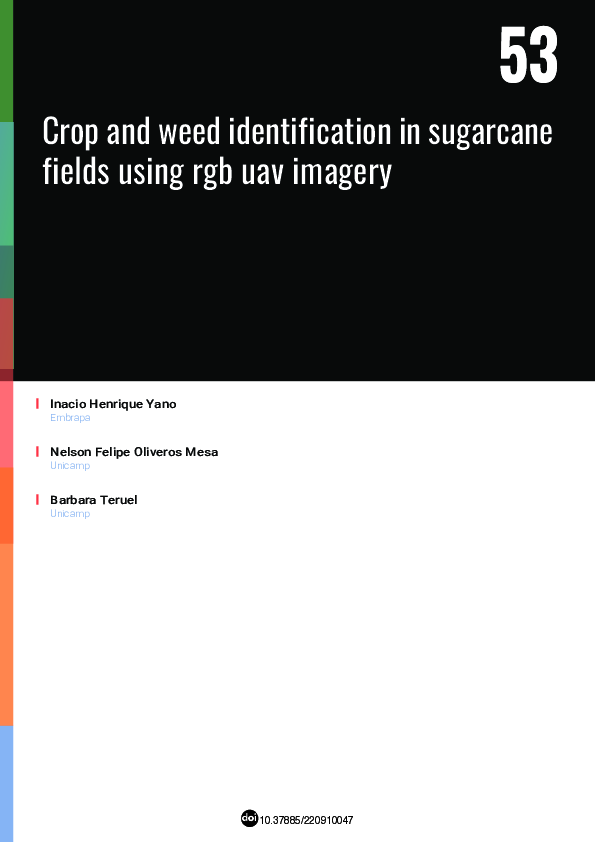 (PDF) Crop and Weed Identification in Sugarcane Fields Using RGB Uav Imagery