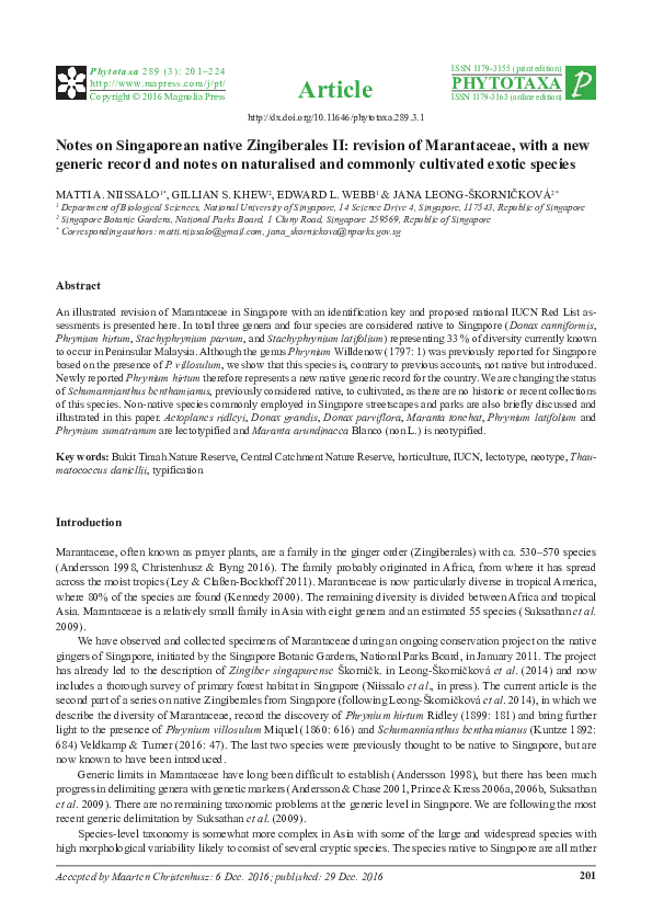 (PDF) Notes on Singaporean native Zingiberales II: revision of ...