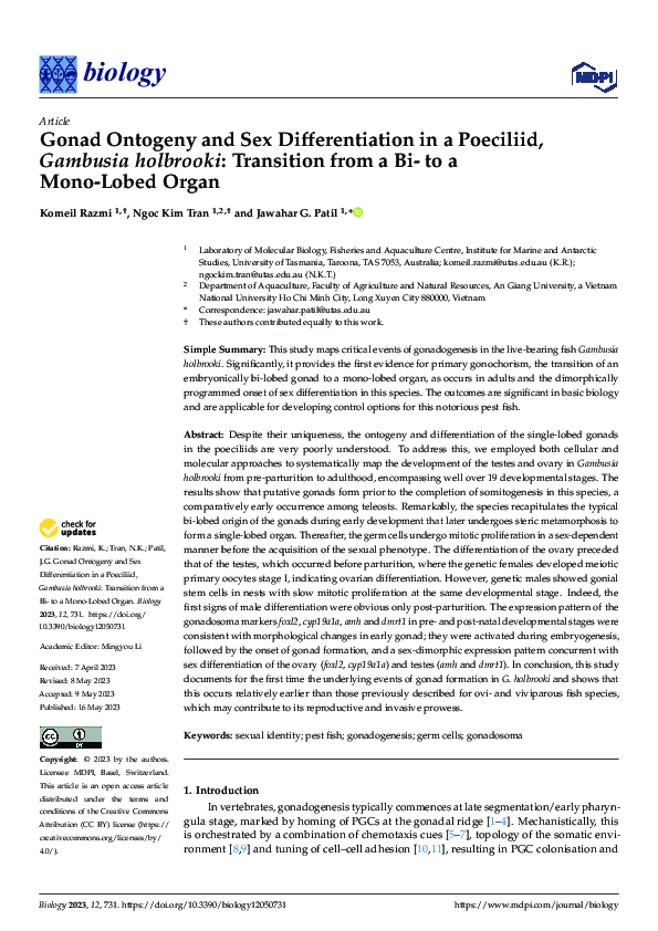 (PDF) Gonad Ontogeny and Sex Differentiation in a Poeciliid, Gambusia ...