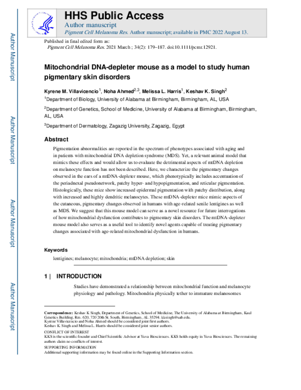 (PDF) Mitochondrial DNA‐depleter mouse as a model to study human ...