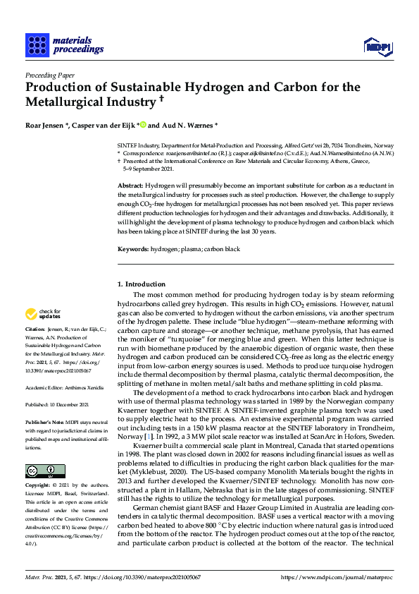 (PDF) Production of Sustainable Hydrogen and Carbon for the ...
