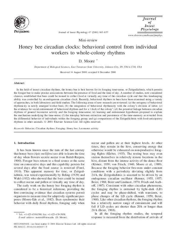 (PDF) Honey bee circadian clocks: behavioral control from individual ...