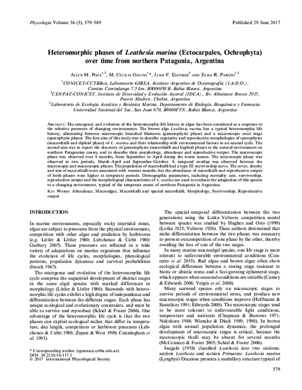 (PDF) Heteromorphic phases ofLeathesia marina(Ectocarpales, Ochrophyta ...