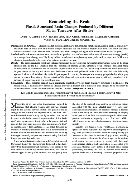 (PDF) Remodeling the Brain