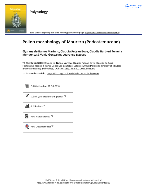 (PDF) Pollen morphology of Mourera (Podostemaceae)