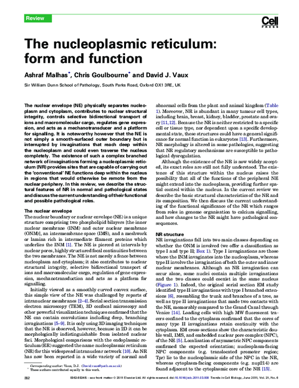 (PDF) The nucleoplasmic reticulum: form and function | Ashraf Malhas ...