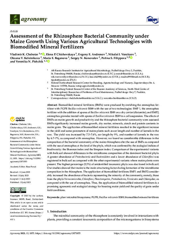 (PDF) Assessment of the Rhizosphere Bacterial Community under Maize Growth Using Various ...