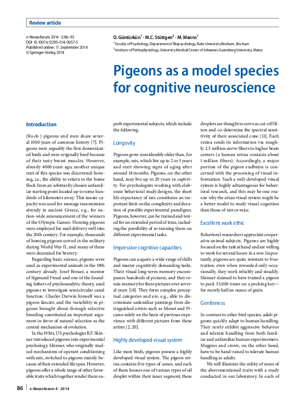 (PDF) Pigeons as a model species for cognitive neuroscience
