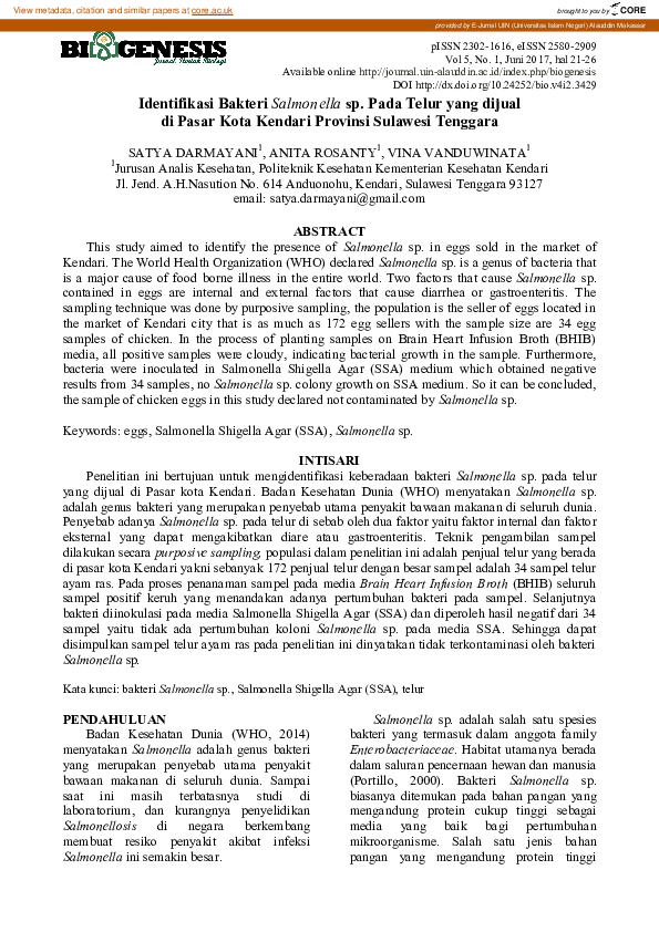 (PDF) Identifikasi Bakteri Salmonella sp. Pada Telur yang dijual di ...