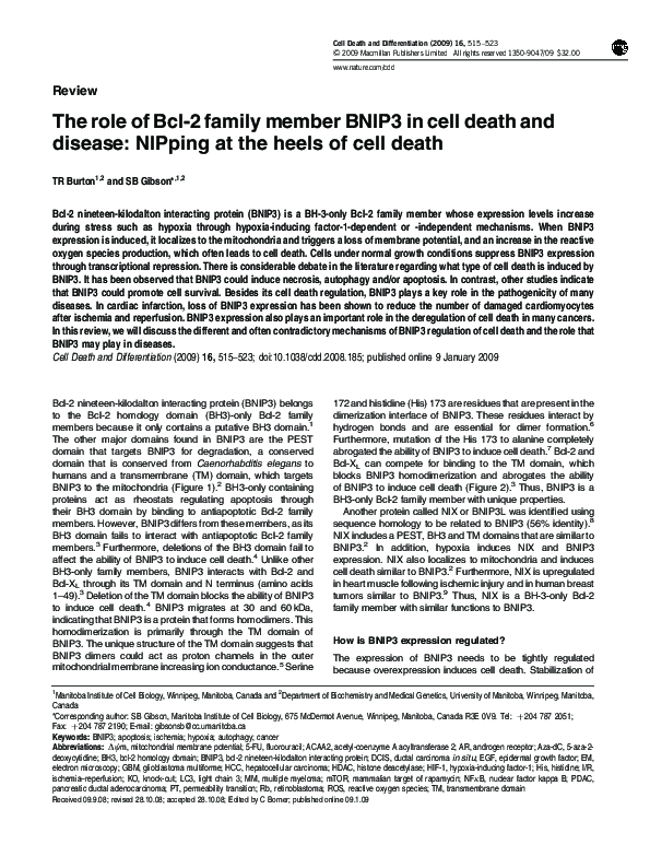 (PDF) The role of Bcl-2 family member BNIP3 in cell death and disease ...