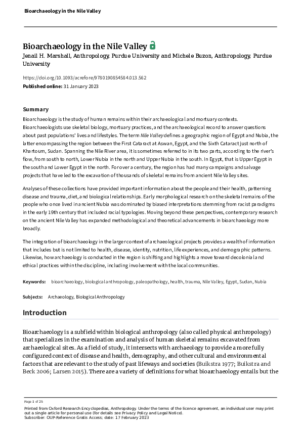 (PDF) Bioarchaeology in the Nile Valley